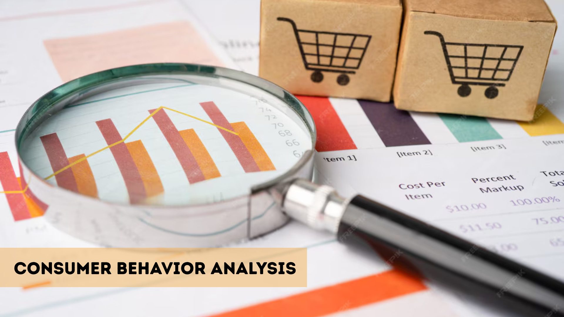 Customer Behavior Analysis: A Complete Guide | PPMS